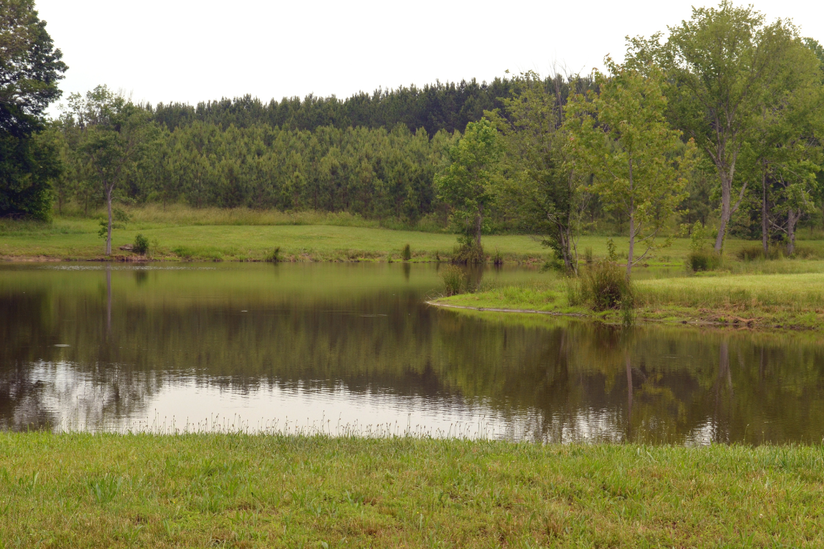 The Best Shape for a Fishing Pond | TLC Perfect Pond